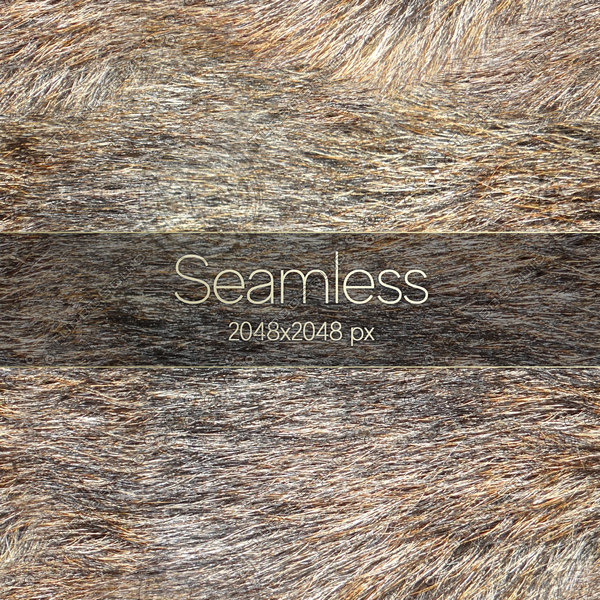 Texture PNG fur seamless dog