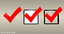 max check mark