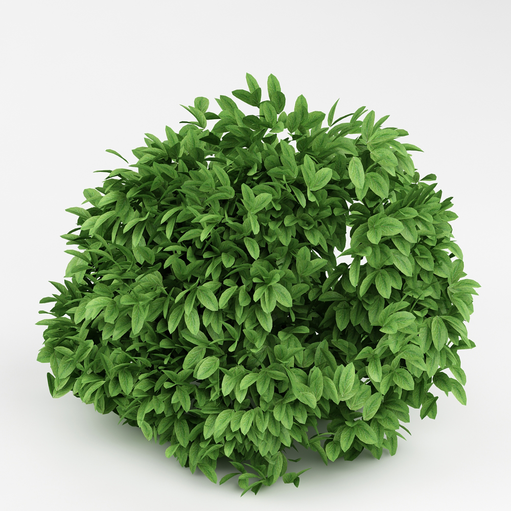 3d model bush