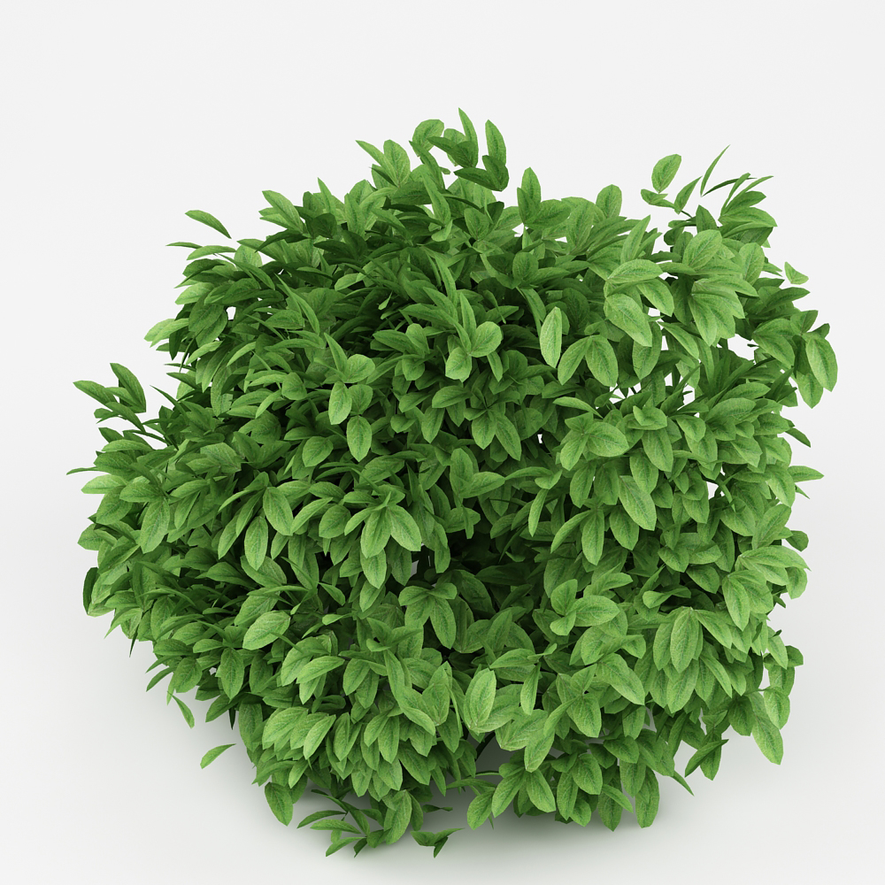 3d model bush