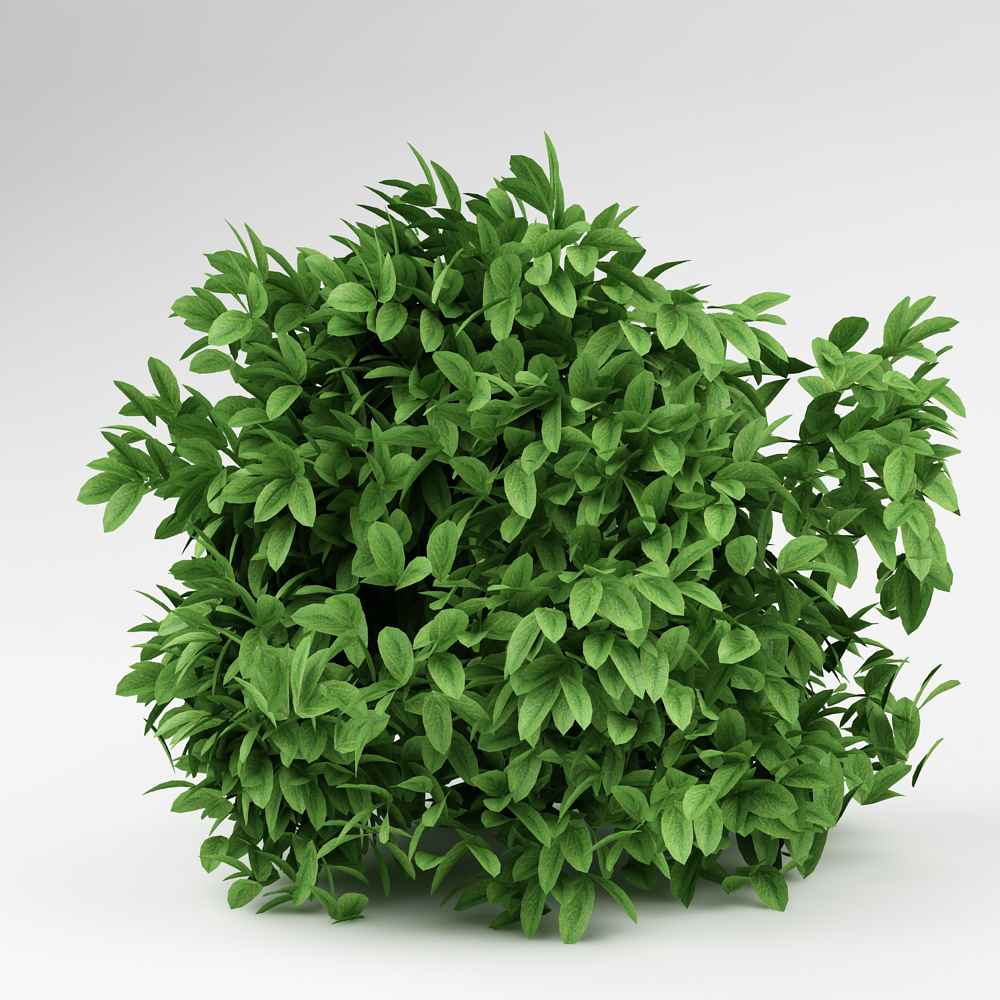 3d model bush