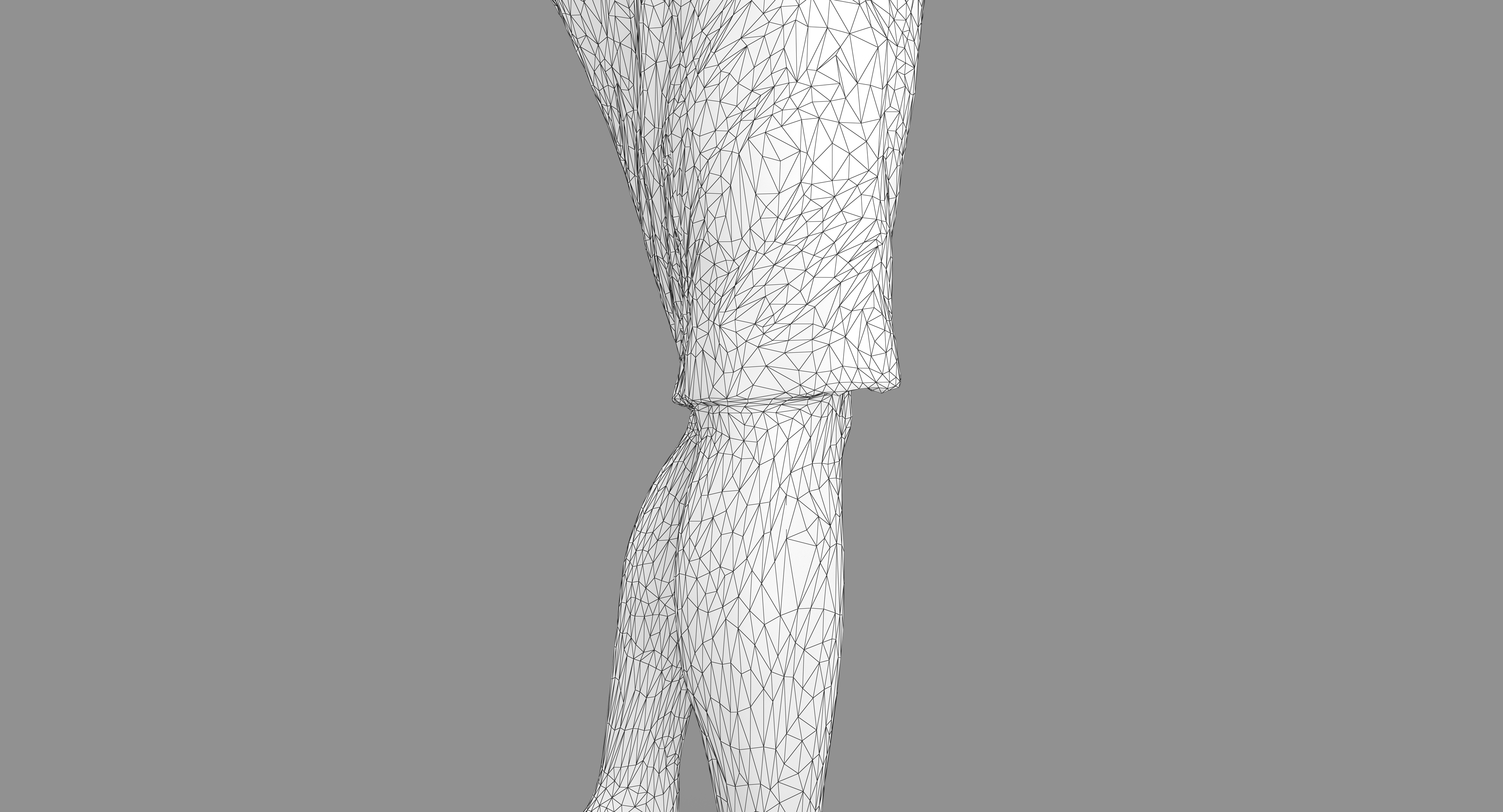 3d human body model
