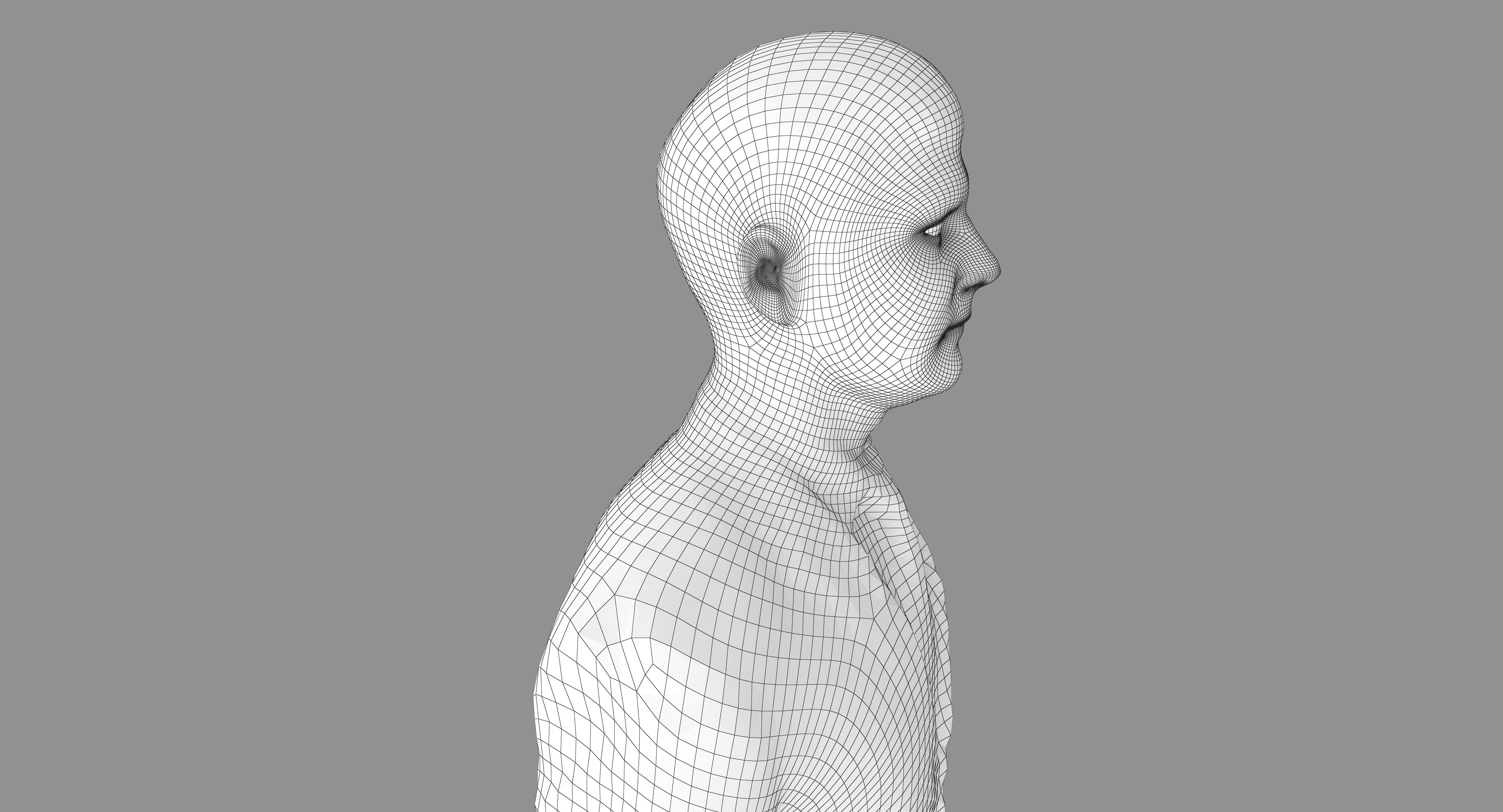 human rigging ready max