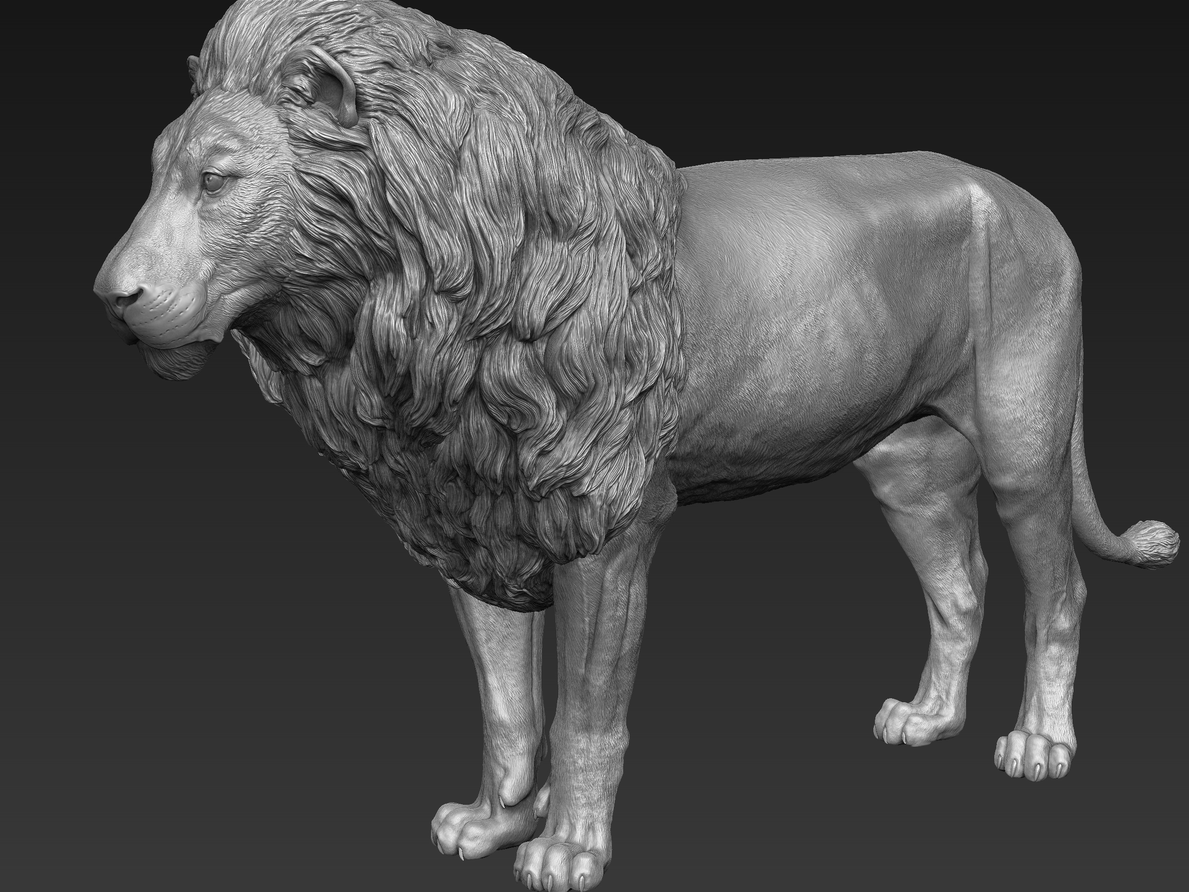 Lion realistic 3D - TurboSquid 1290876