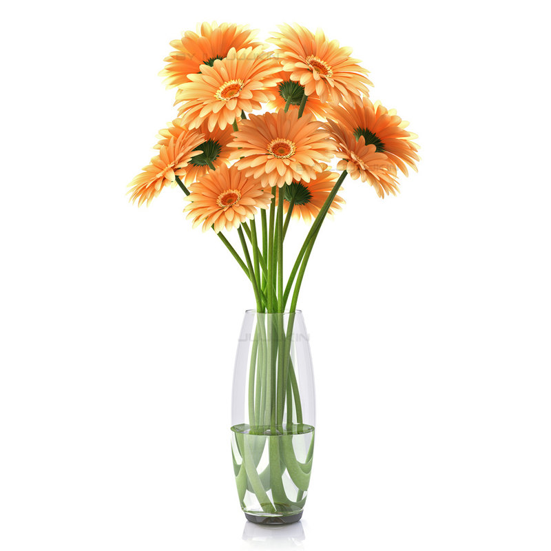 flower gerber gerbera 3d model