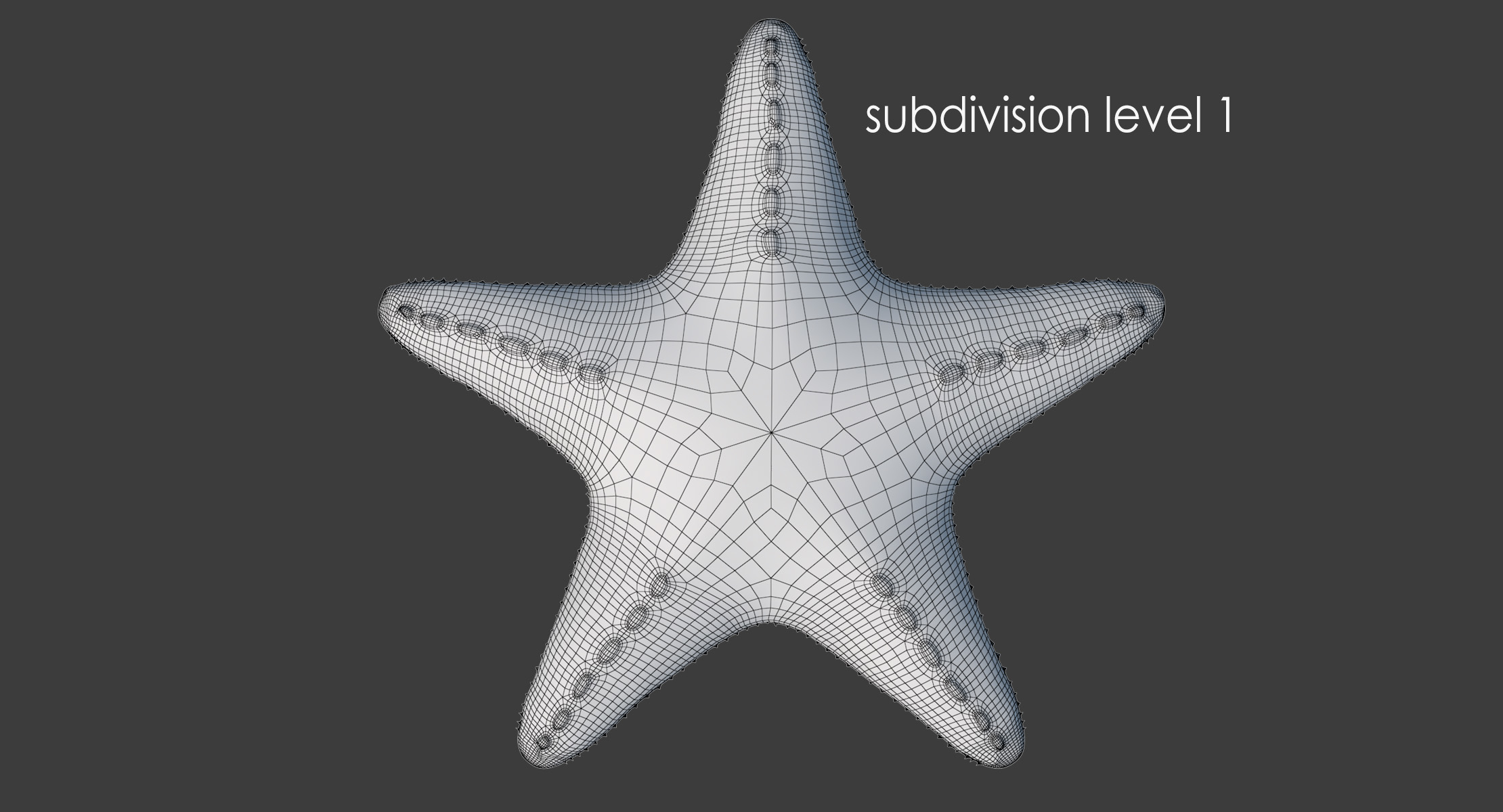 starfish star fish 3d model