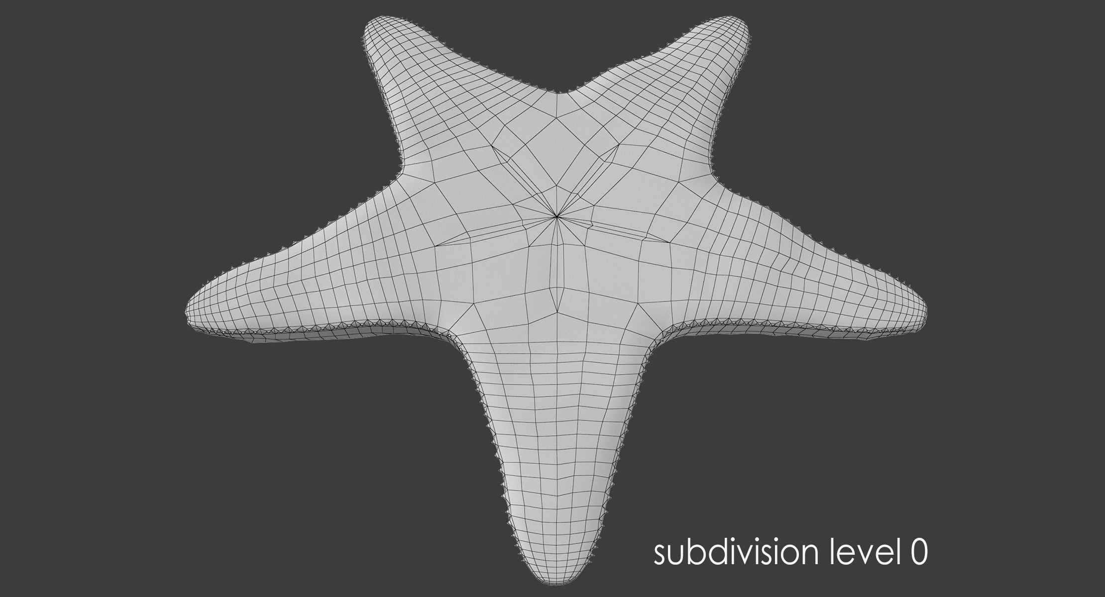 starfish star fish 3d model