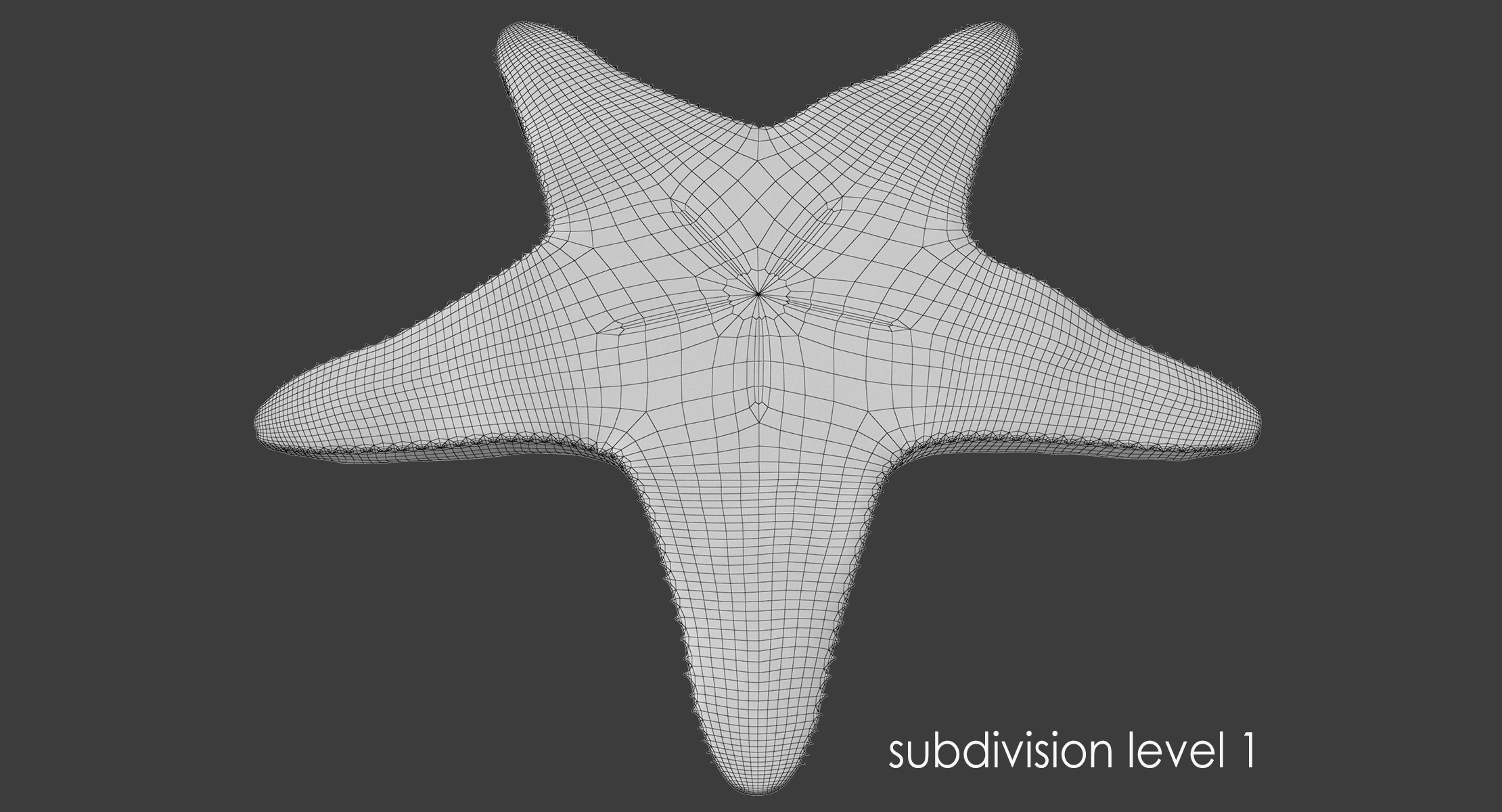 starfish star fish 3d model