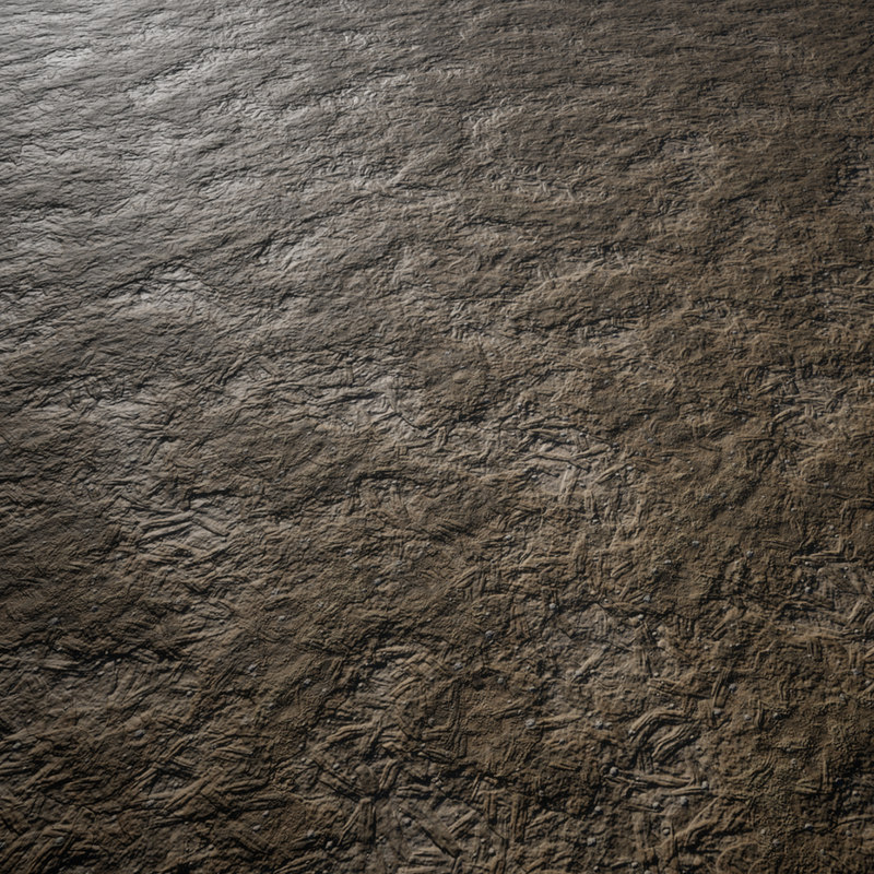 Texture Targa texture ground marmoset