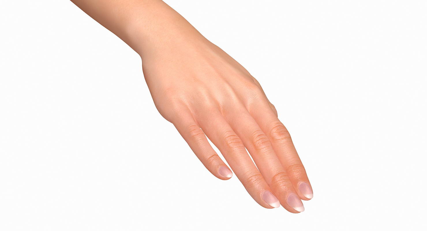 Female arm pose c 3D model - TurboSquid 1188045