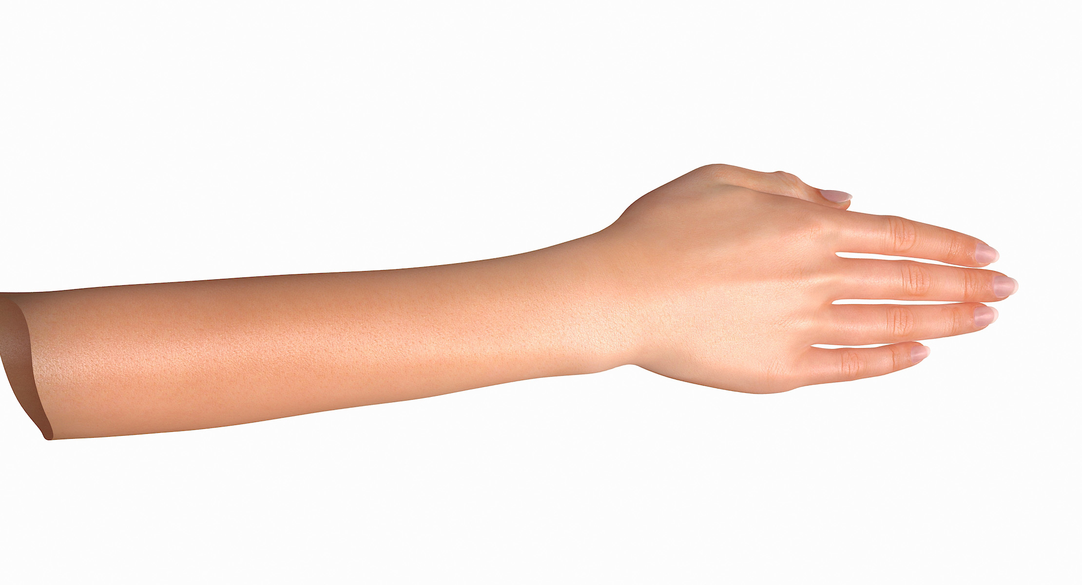 Female arm pose c 3D model - TurboSquid 1188045