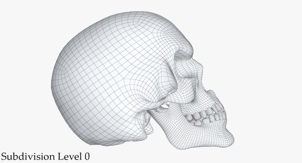 3d skull 3 model