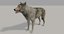Ready wolf 3D model - TurboSquid 1238301