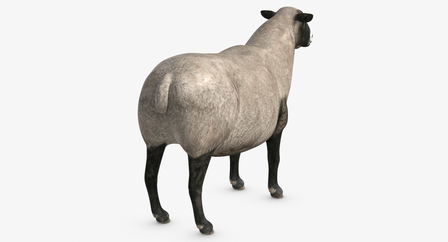 3d 3ds sheep