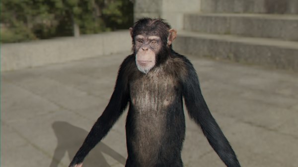 Texture Blender monkey cgi animal