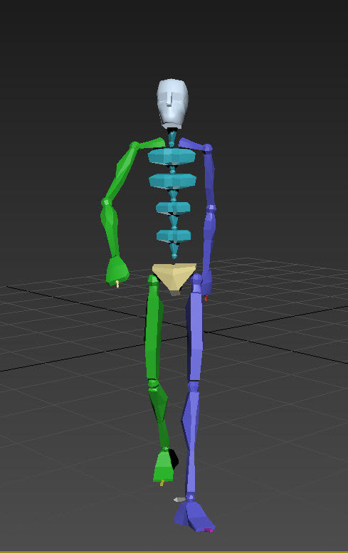 Motion Biovision catwalk capture animation