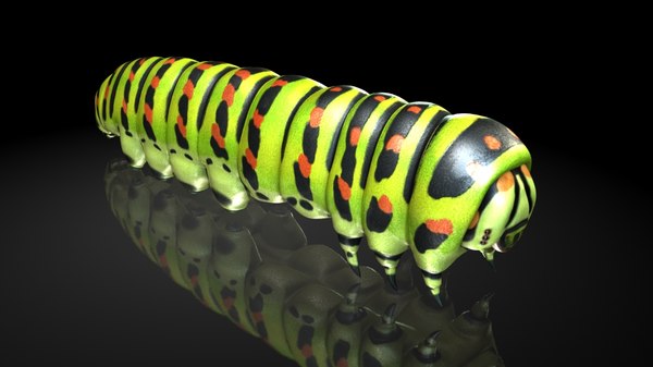 3D Larva Models | TurboSquid