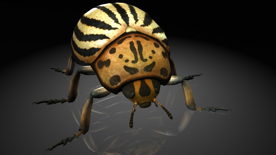 modelo 3d Escarabajos de colorado \ insectos - TurboSquid 1318925