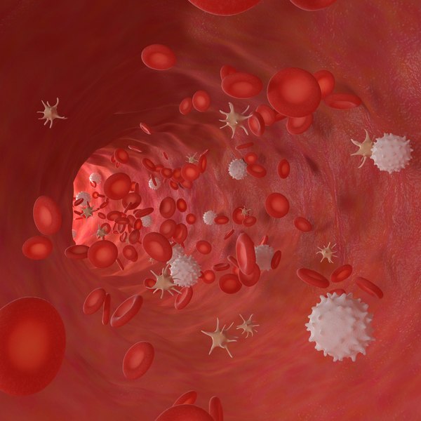 Free 3D Blood Models | TurboSquid