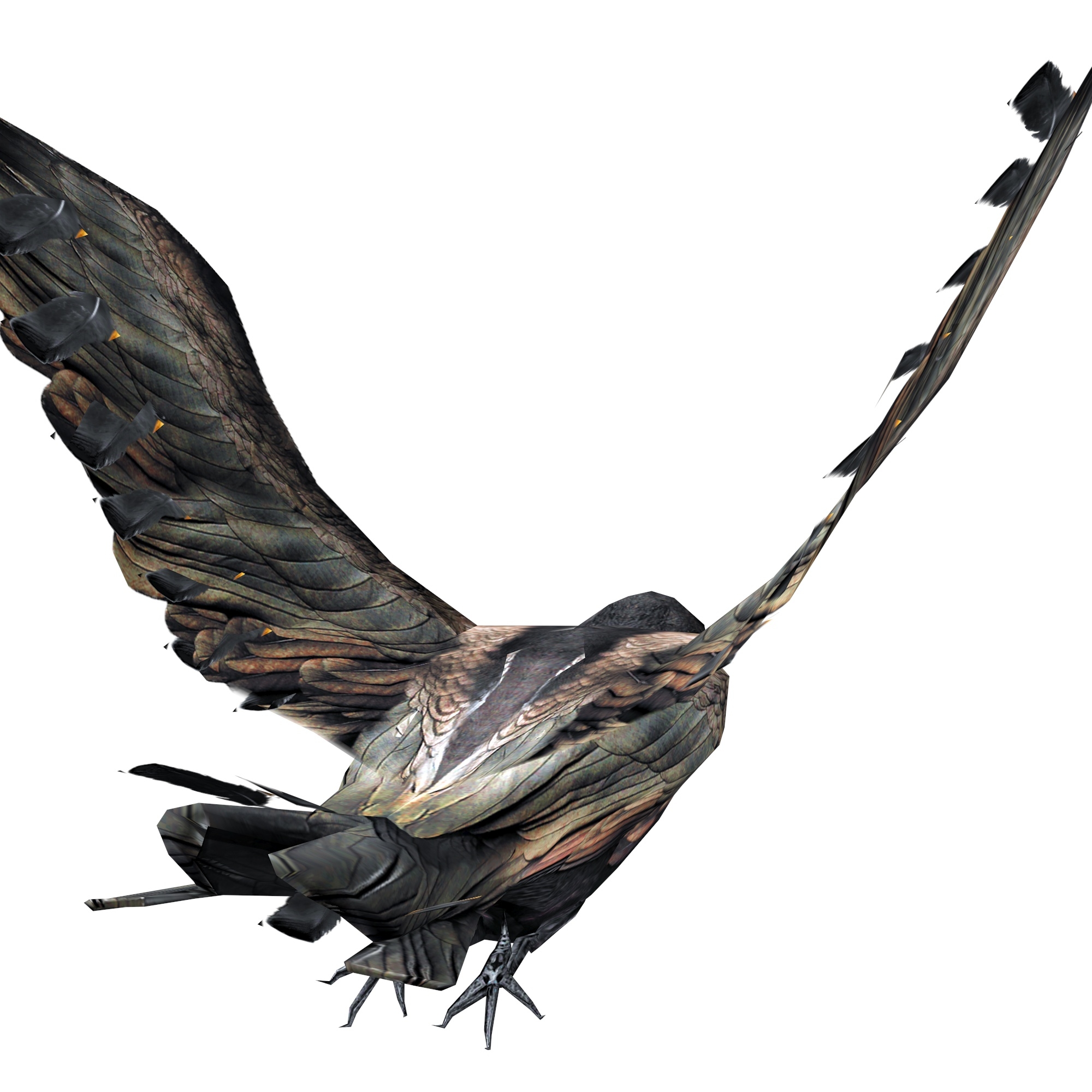 Crow 3D - TurboSquid 1319342