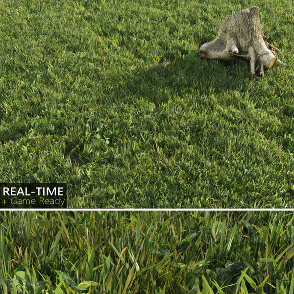 macrox 3D Models for Download | TurboSquid