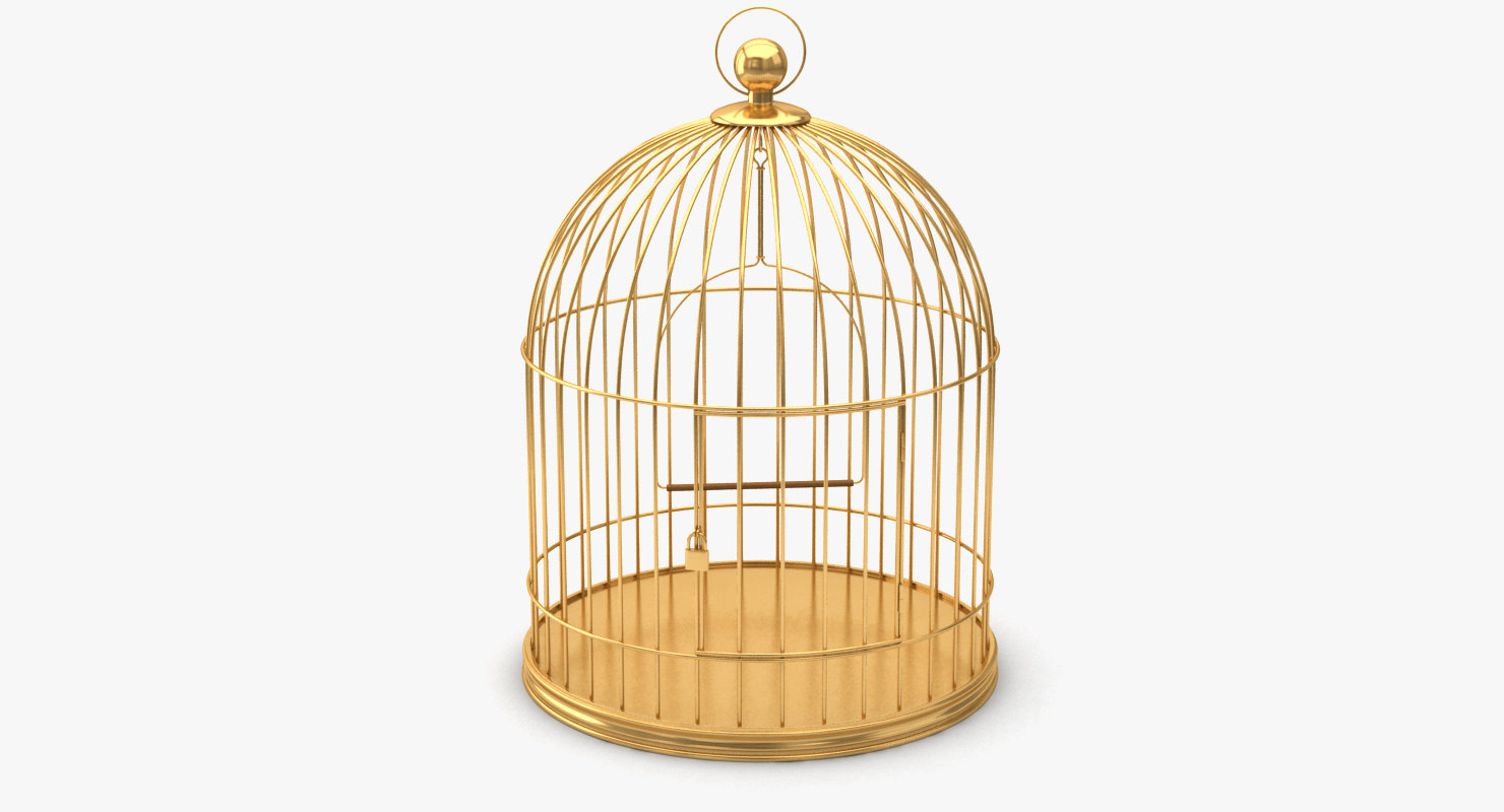 3d bird cage birdcage