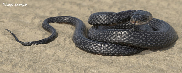 3d black snake 02 model
