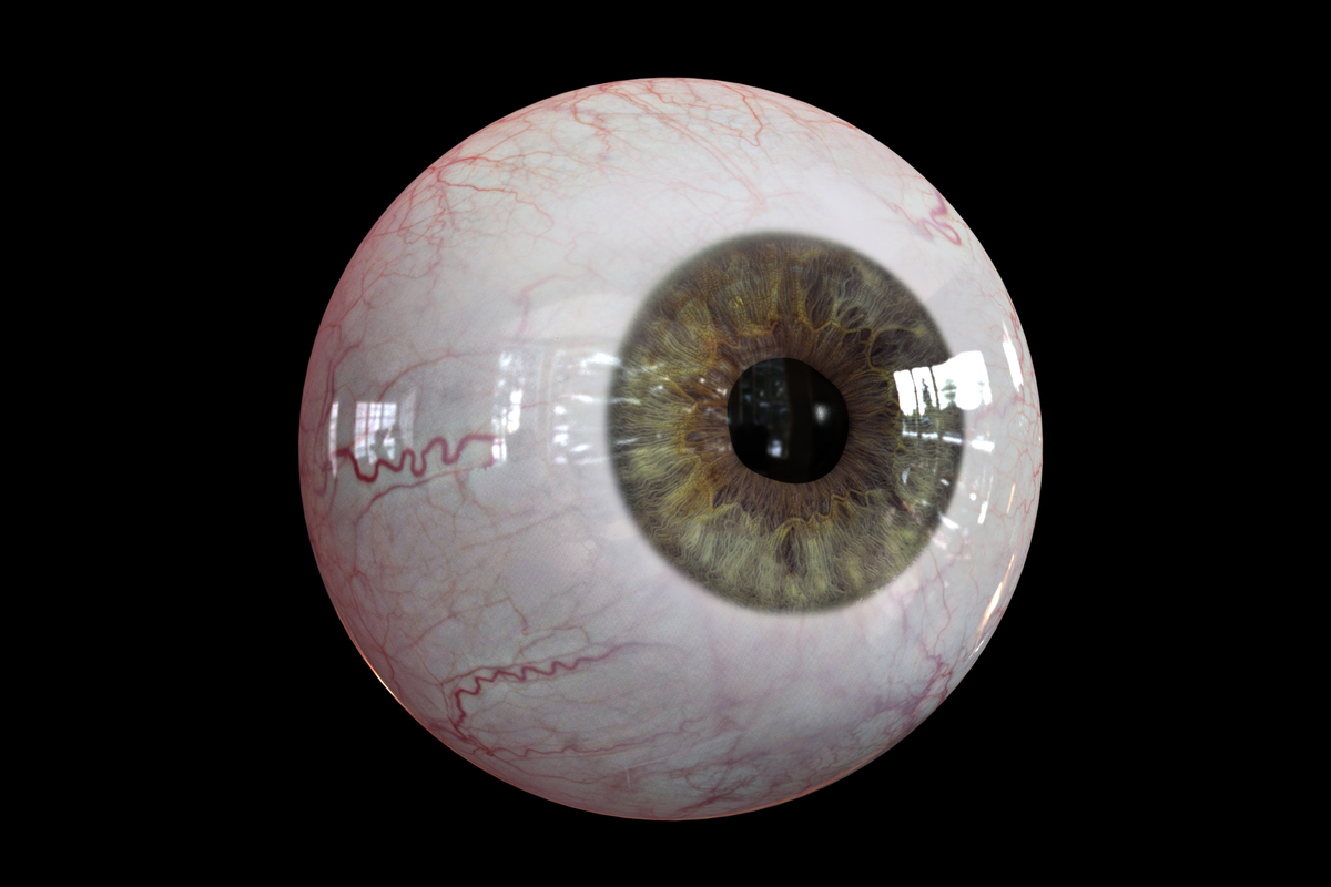 Realistic human eye 3D - TurboSquid 1335955