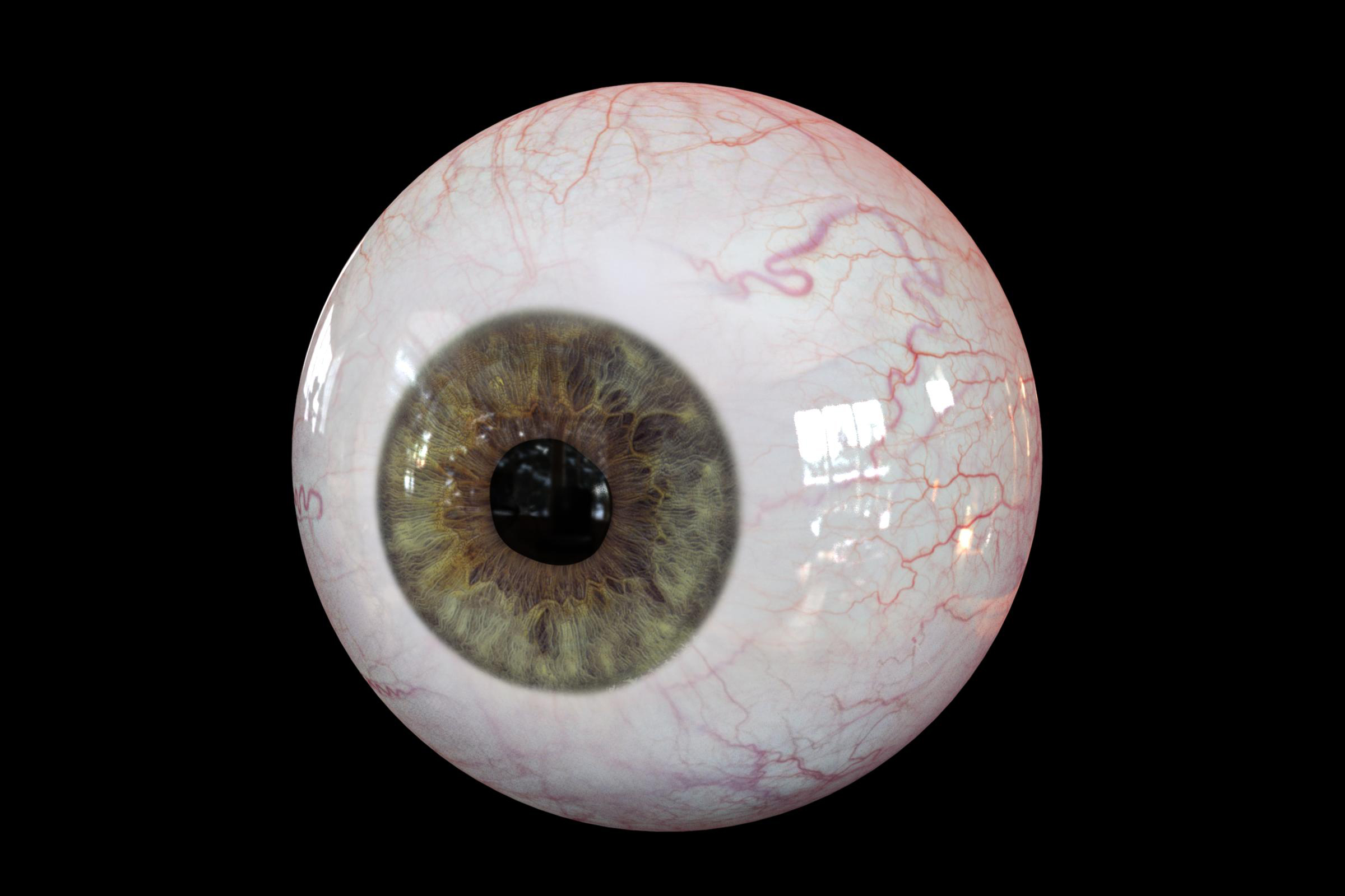 Realistic human eye 3D - TurboSquid 1335955