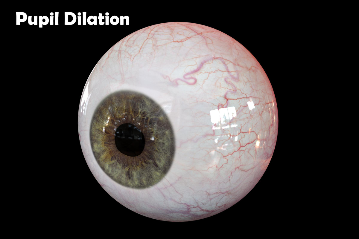 Realistic human eye 3D - TurboSquid 1335955