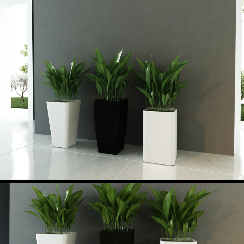 contemporary plants mini 3d max