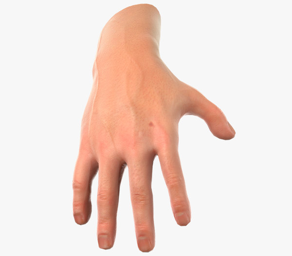 Free male hand rigged 3D model - TurboSquid 1178206