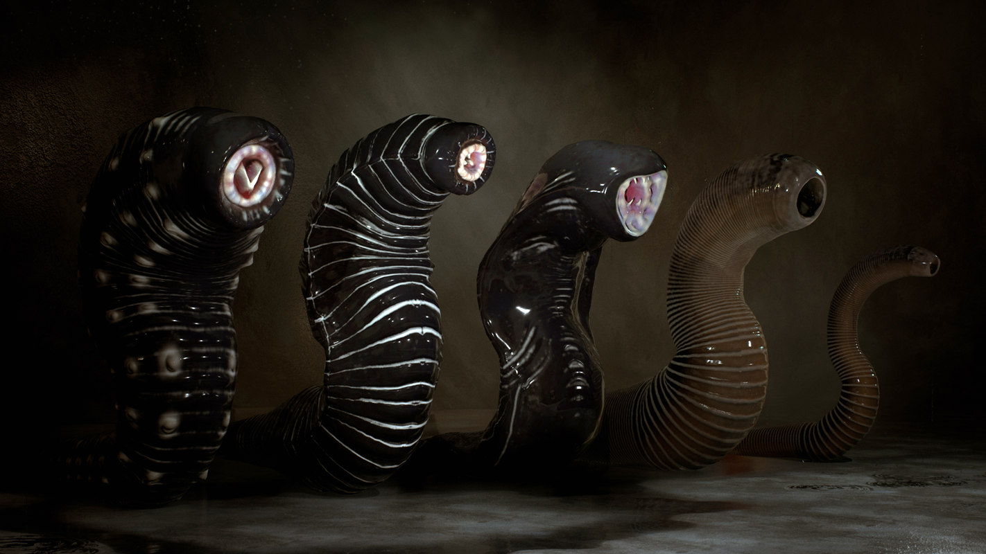 3D model giant leeches - TurboSquid 1337052
