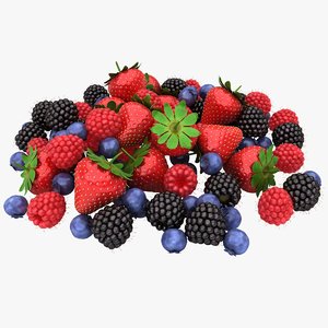 3d raspberry fruit model