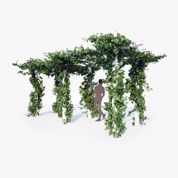 Vine 3D Models for Download | TurboSquid