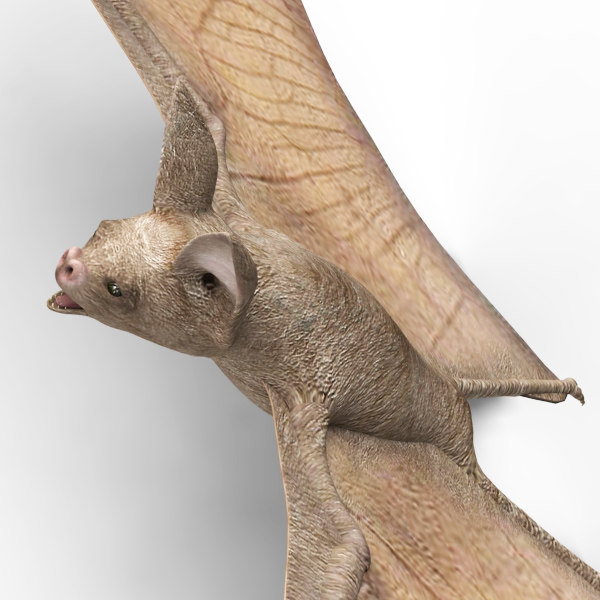 Green lizard bat 3D model - TurboSquid 1337347