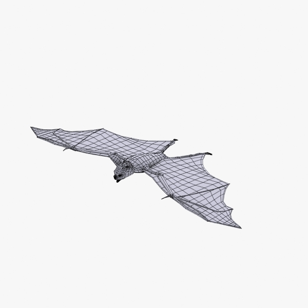 Green lizard bat 3D model - TurboSquid 1337347