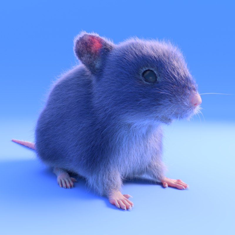 Realistic mouse - fur color 3D model - TurboSquid 1318263
