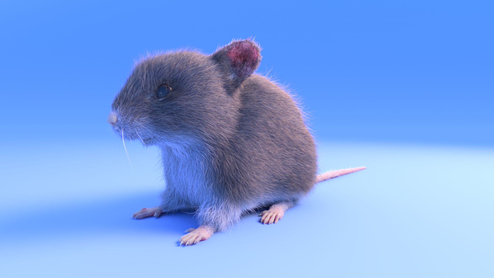 Realistic mouse - fur color 3D model - TurboSquid 1318263