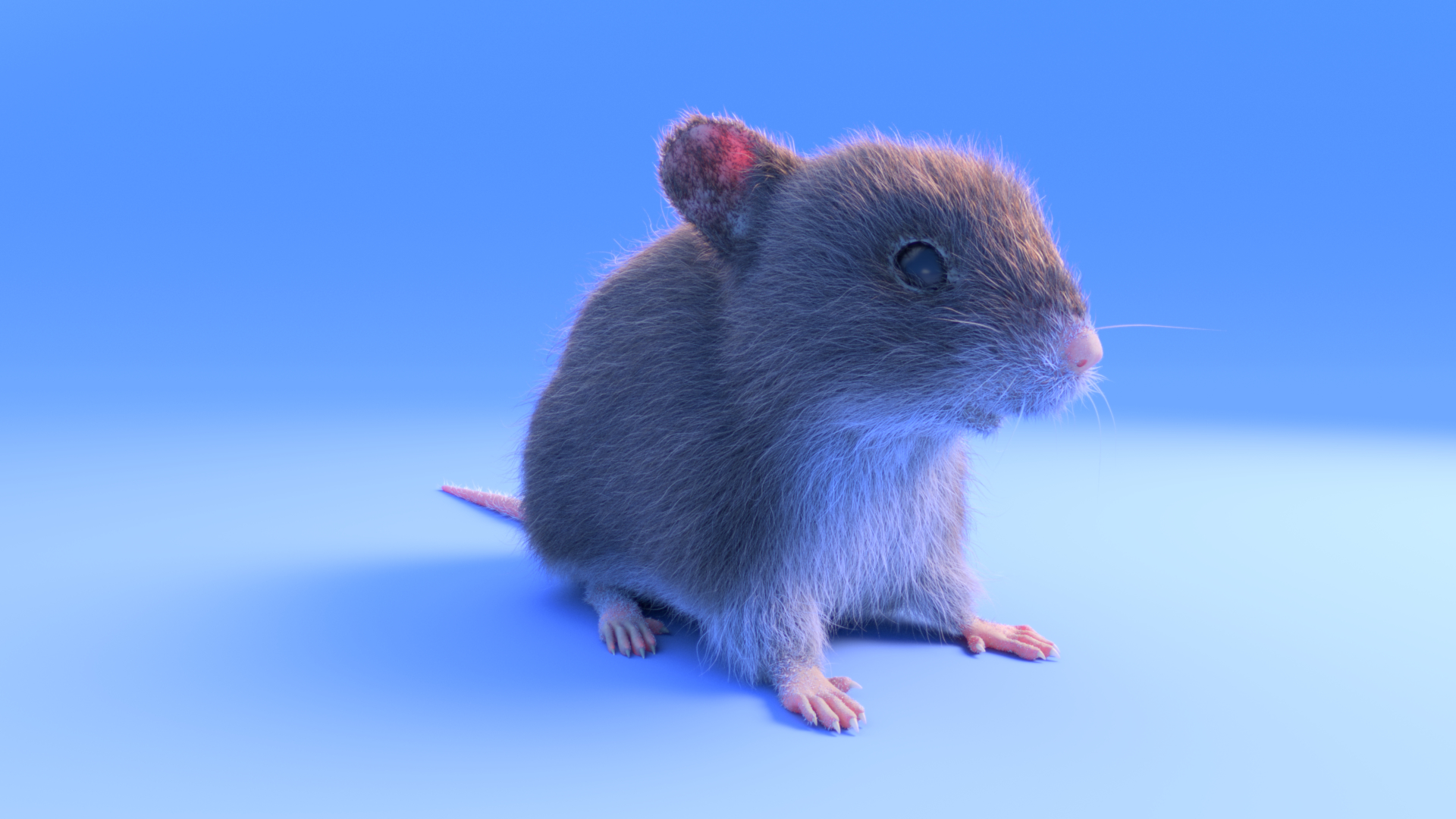 Realistic mouse - fur color 3D model - TurboSquid 1318263