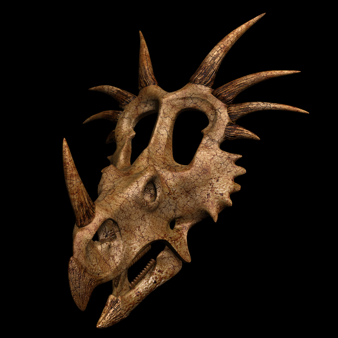 Styracosaurus skull model - TurboSquid 1337450