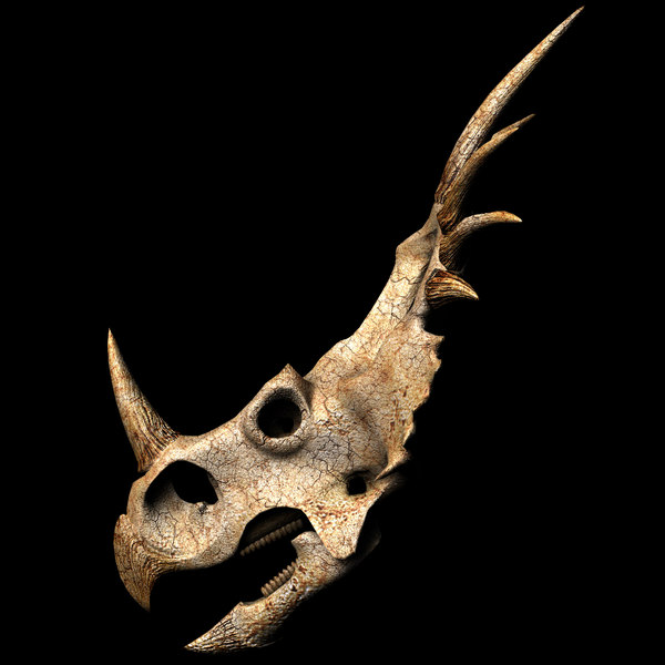 Styracosaurus skull model - TurboSquid 1337450