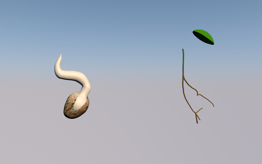 3D plant growth animation - TurboSquid 1337658