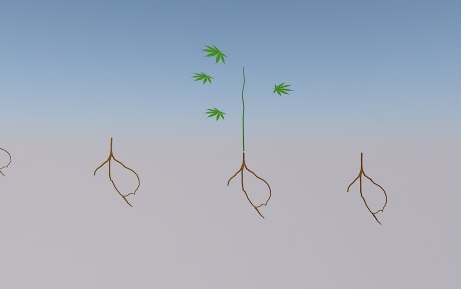 3D plant growth animation - TurboSquid 1337658