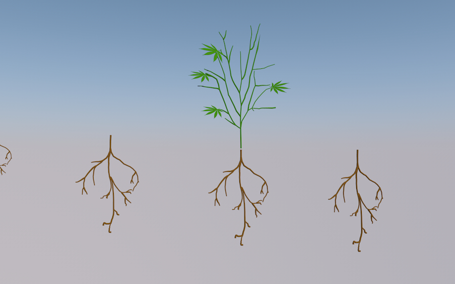 3D plant growth animation - TurboSquid 1337658