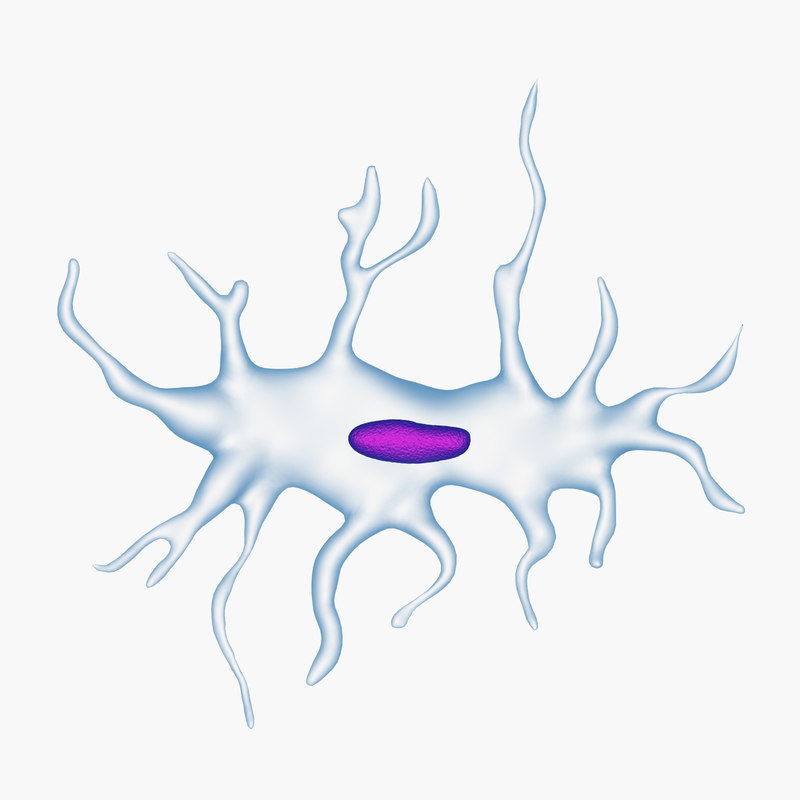 modelo 3d Osteocito - TurboSquid 1338393