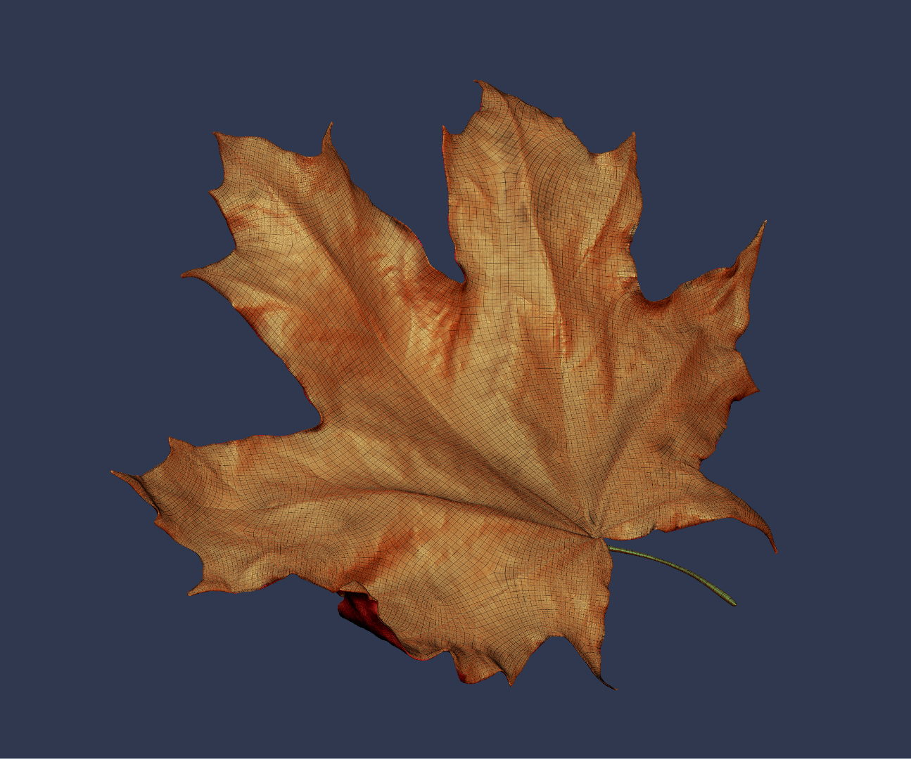 3D autumn maple leaf 1 model - TurboSquid 1337860