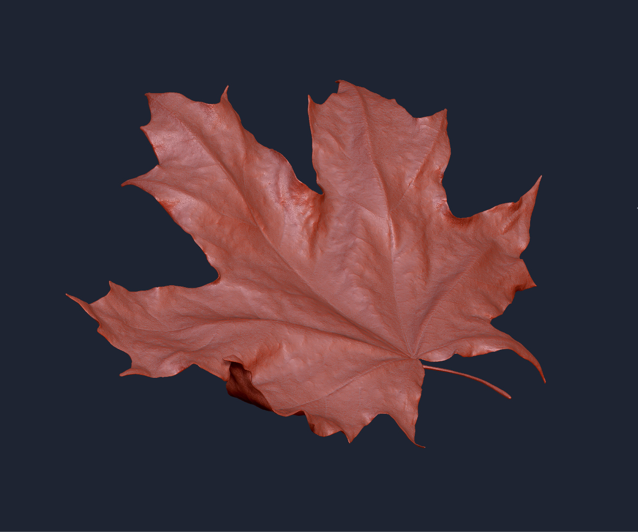 3D autumn maple leaf 1 model - TurboSquid 1337860