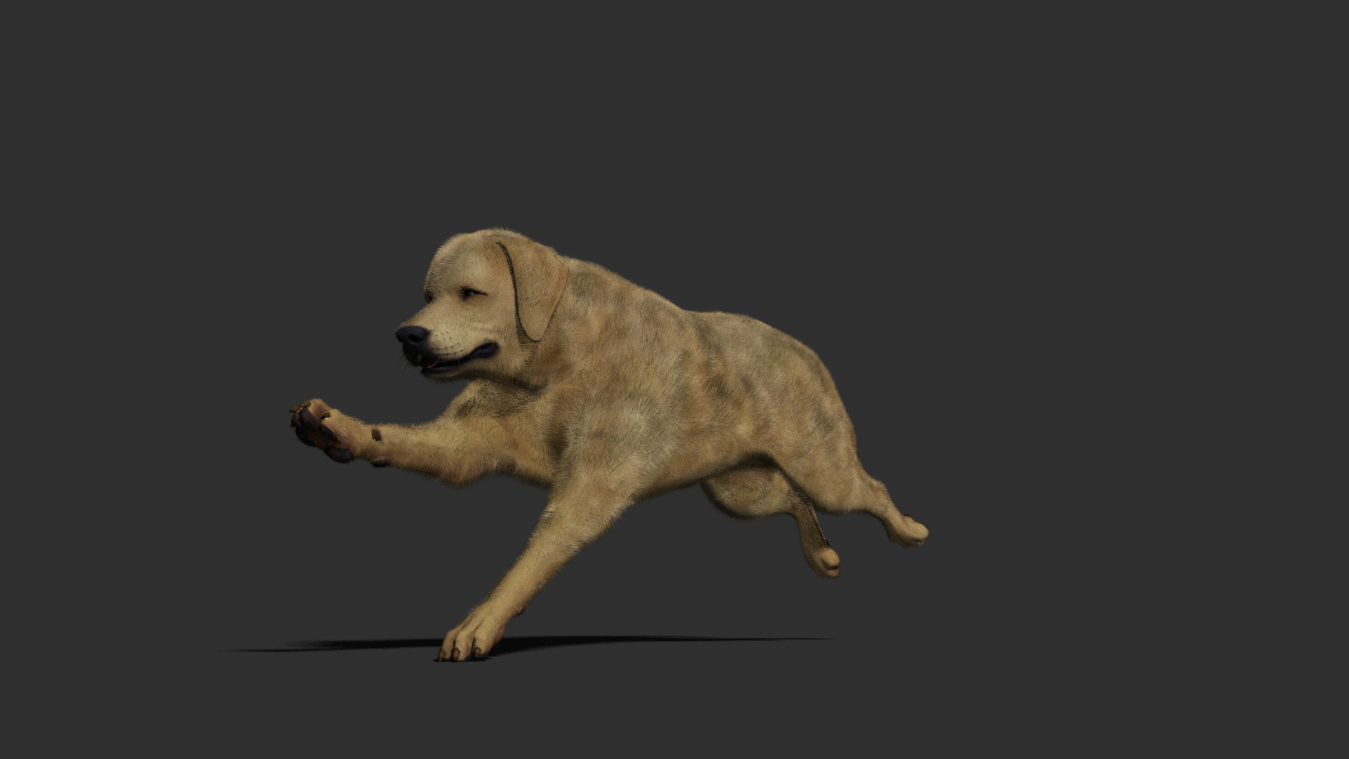 3D dog rig animations model - TurboSquid 1338034