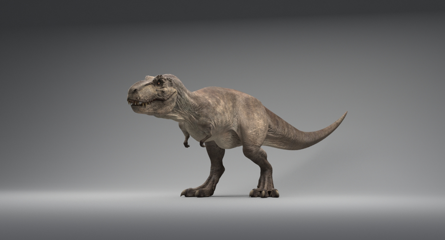 t-rex rig x